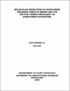 MOLECULAR DETECTION OF SUNFLOWER NECROSIS VIRUS IN WEEDS AND ITS VECTOR ...